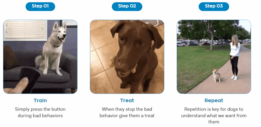 Barks No More Reviews & Complaints | Is it Scam?