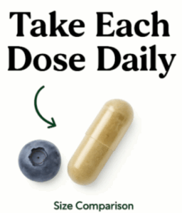 Cloud9 Daily Restore Reviews & Complaints 2025 | Is it Scam?