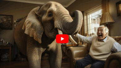 Elephant Trick for Memory Loss | Natural Brain Benefits