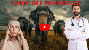 Elephant Trick for Memory Loss | Natural Brain Benefits