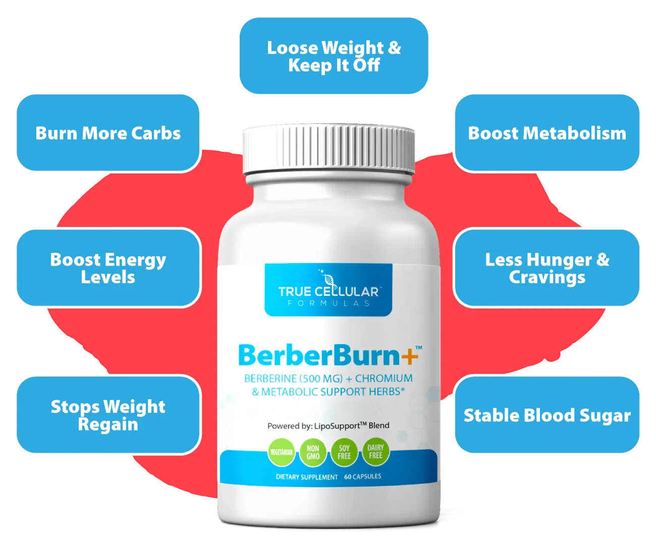Berberine Plus Reviews - Does It Really Support Blood Sugar?