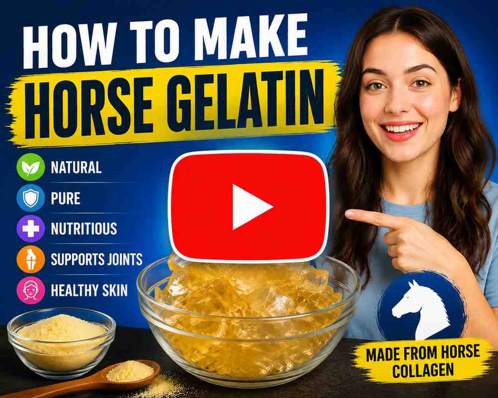 How To Make Horse Gelatin: Easy Step-by-Step Guide